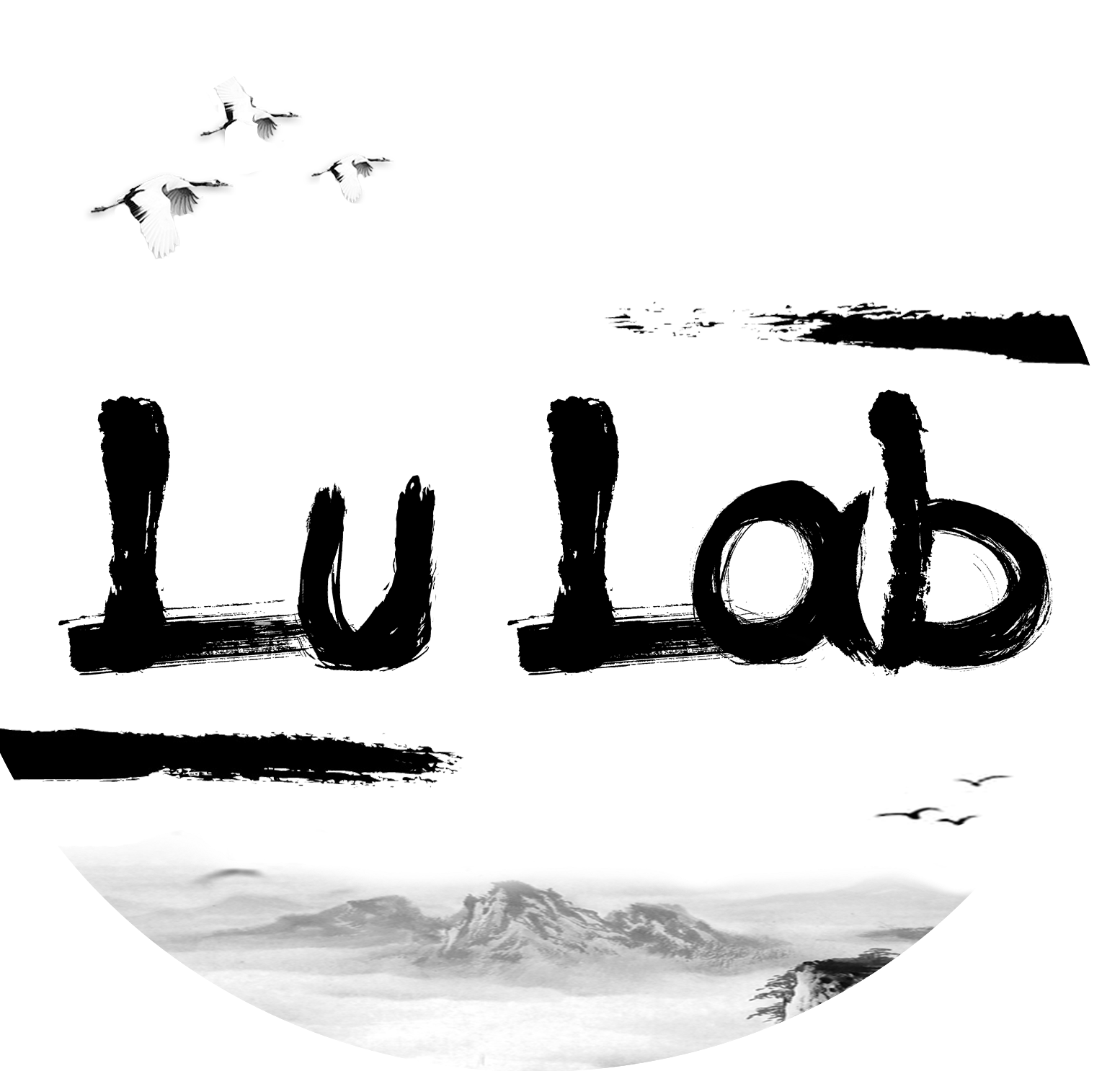 Lu Lab @ Tsinghua 清华大学 鲁志实验室